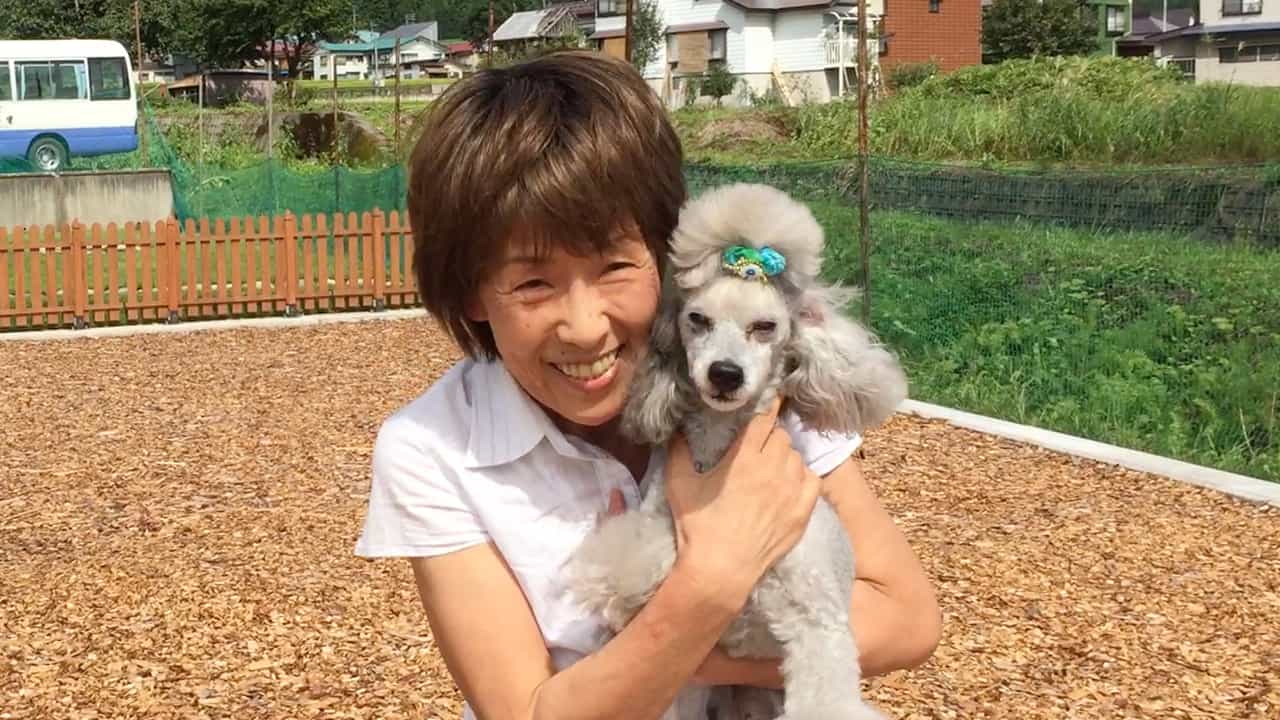 Recipes - Cooking with Dog